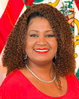COVID-19 Advisory Group Discusses Disparities in Black Community | News ...